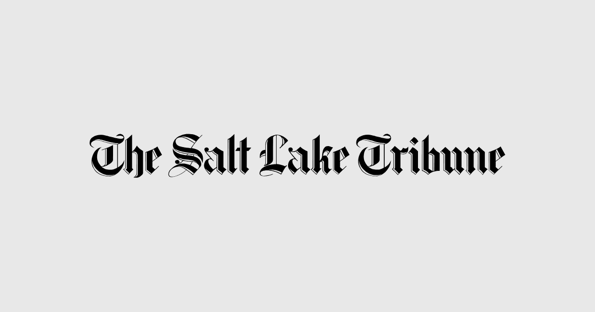 Belching cattle & methane: Lumen wins $1.5M Wilkes Climate Prize